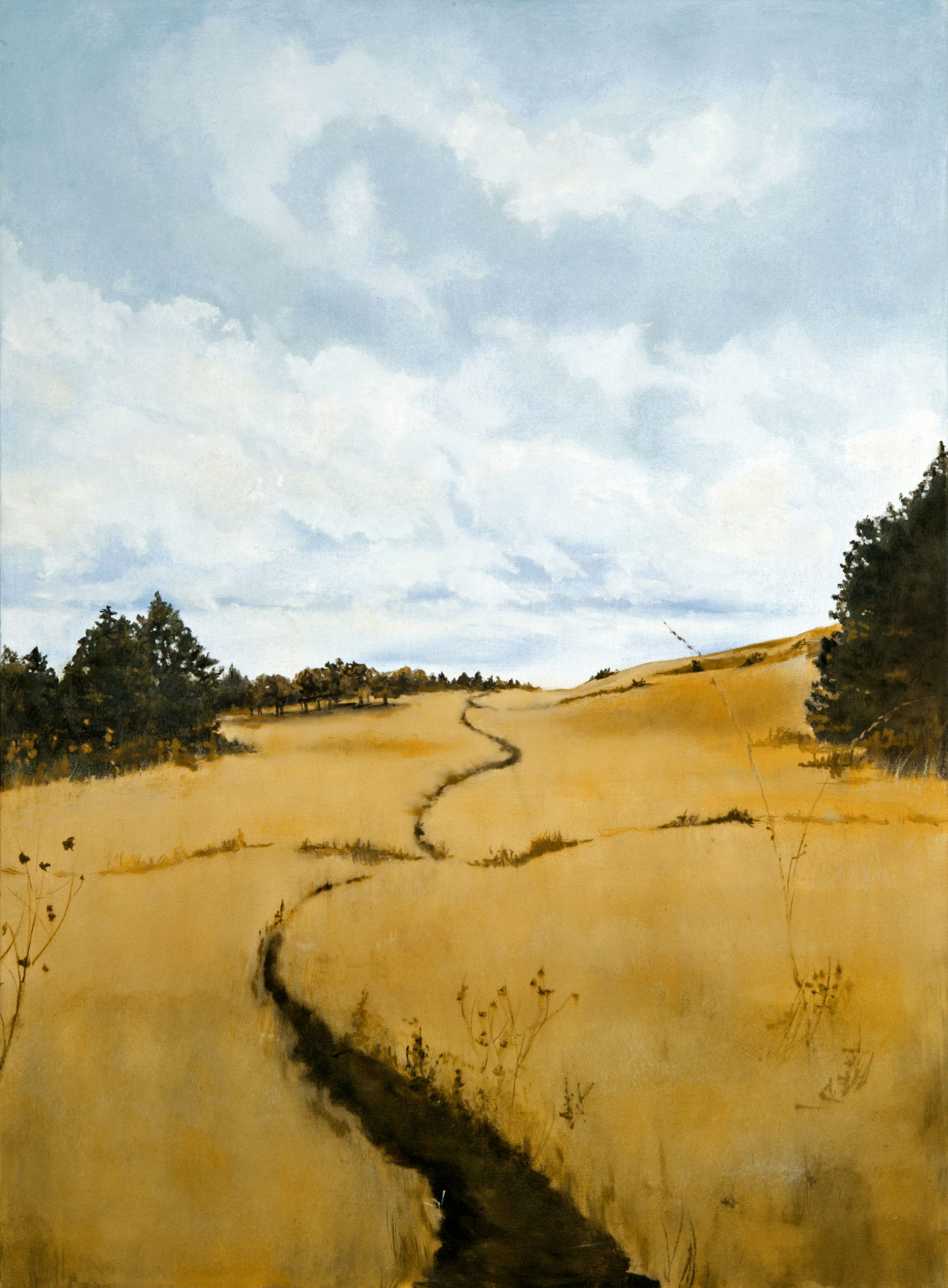 Art Gallery – Stanfield Studio